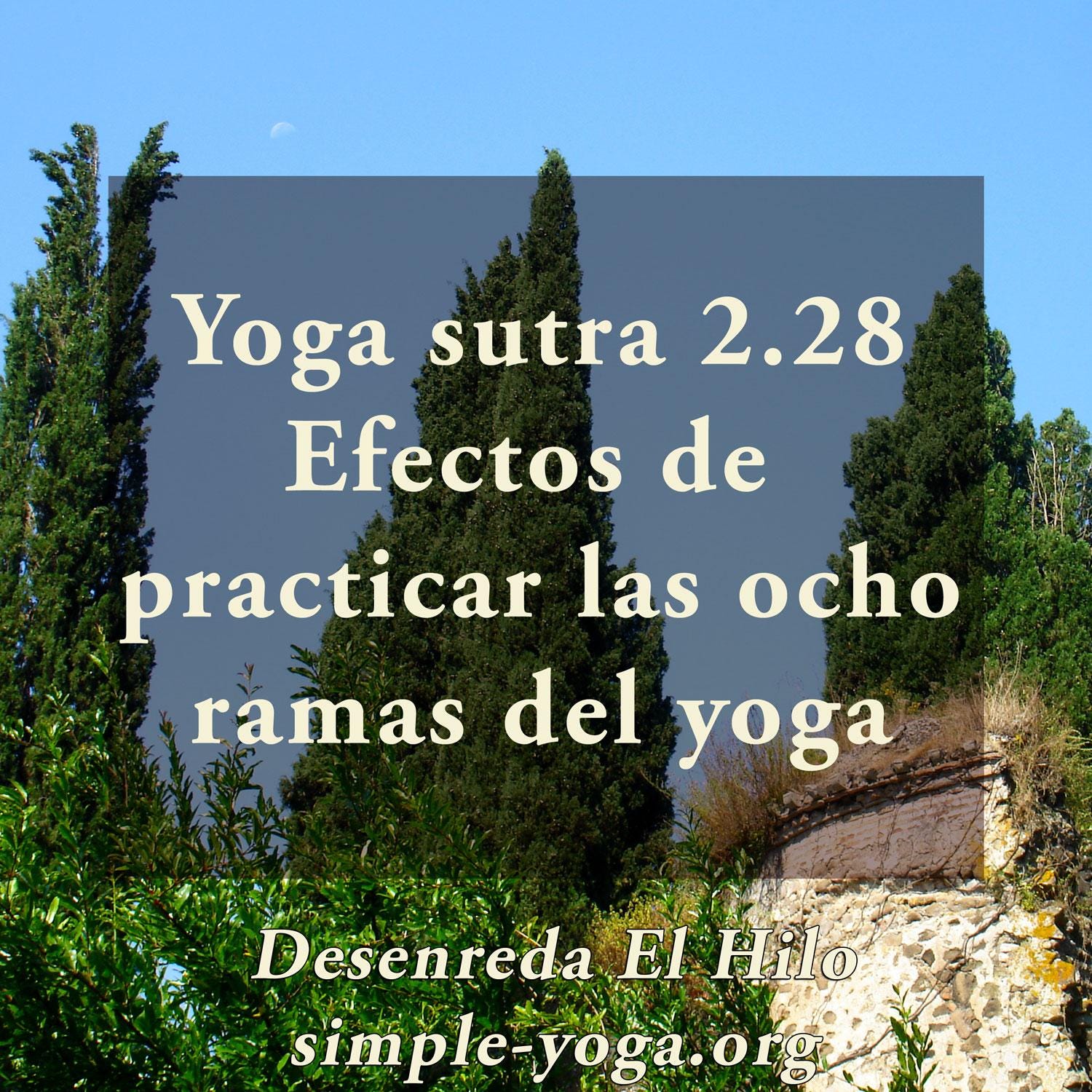 Yoga Sutra 2.28 Efectos de practicar las ocho ramas del yoga ...