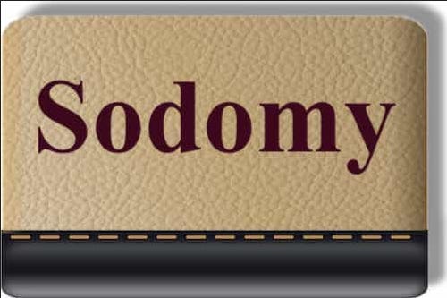 Sodomy. Is It Really That Big Of A Deal?