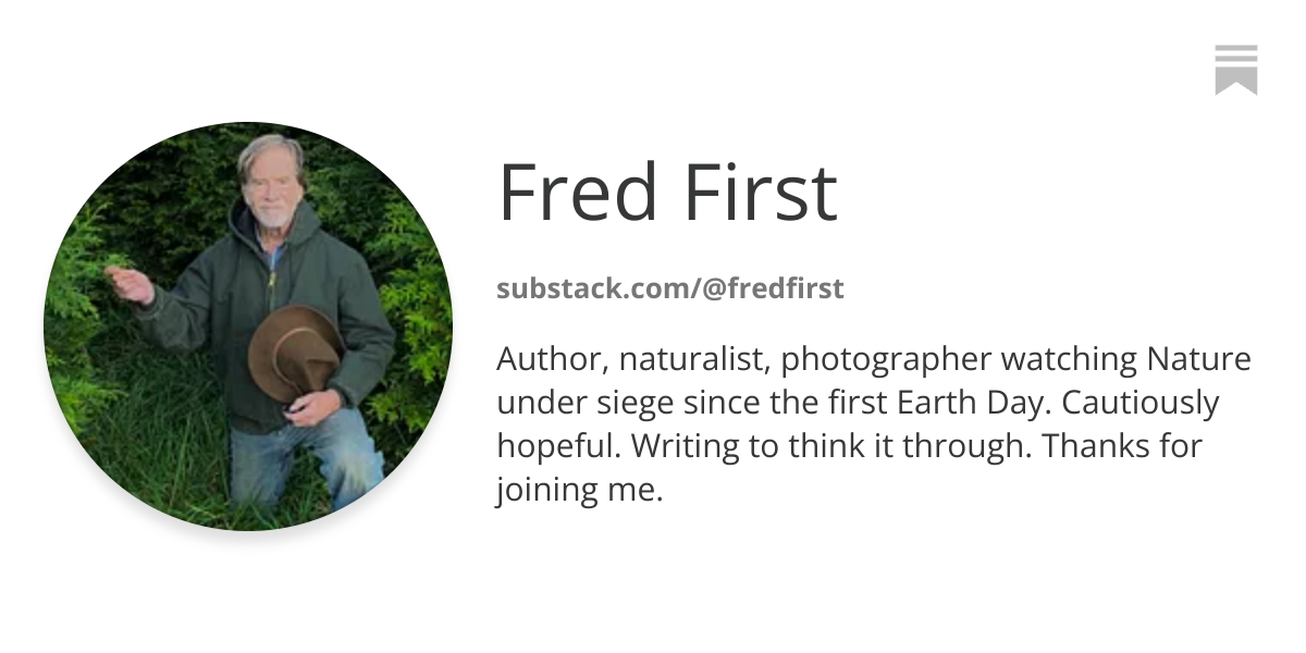 Fred First | Substack