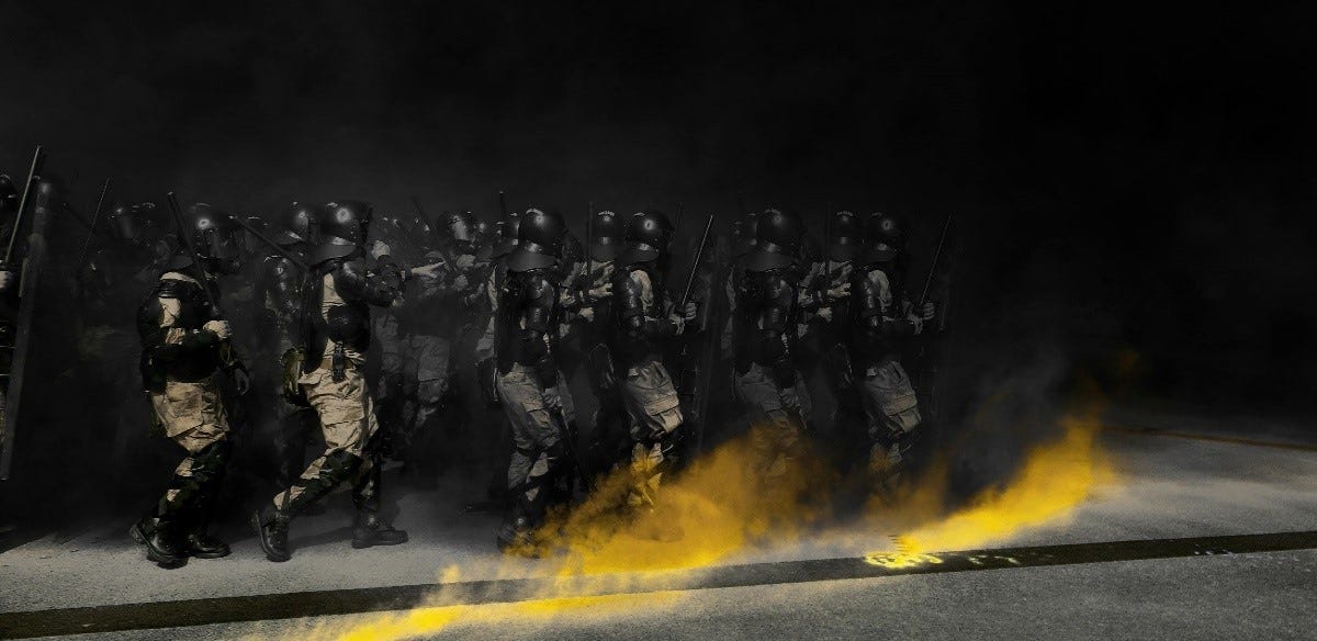 Why collapse is inevitable - by William E Rees