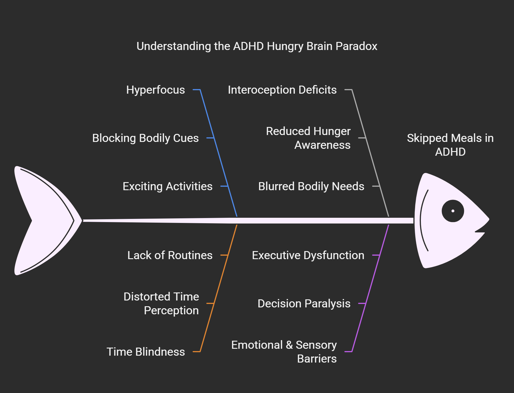 🍽️ The Hungry Brain Paradox: Why ADHD Forgets to Eat (And How to ...