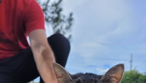 Philosophy Chatter | Travis Rodgers | Substack