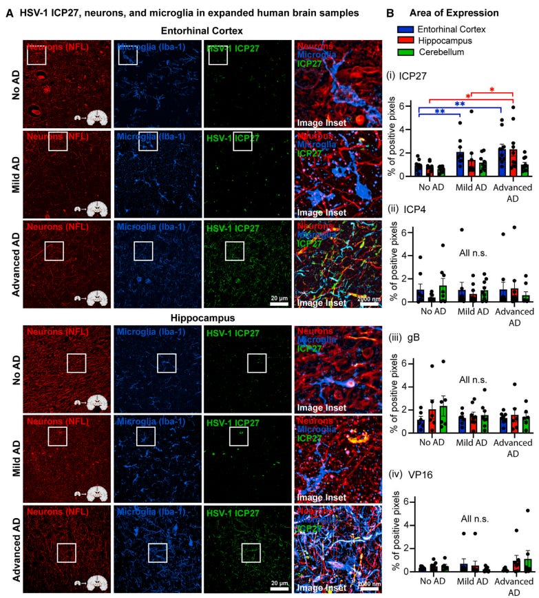 On Subclinical HSV-1 Reactivations, Brain Aging, and Neurodegeneration