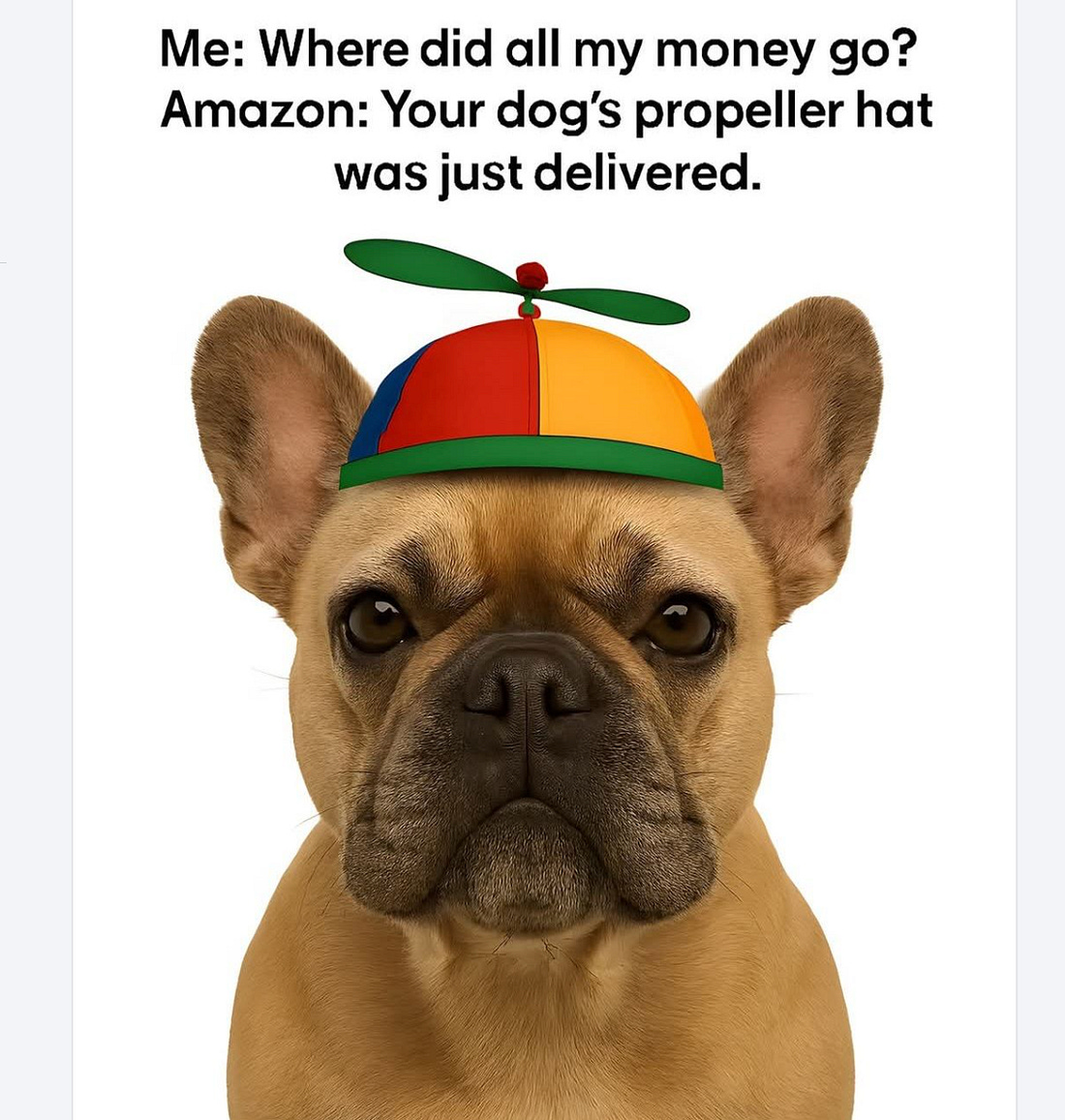 Friday Funnies: “With a high degree of certainty, we have him” [no nie bój się to MEM-y ...