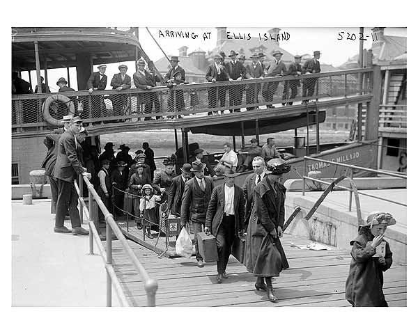 The Irish Immigrant Experience: Labor, Survival, and Legacy