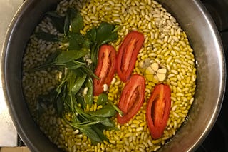 The Best Bit | Clare de Boer | Substack