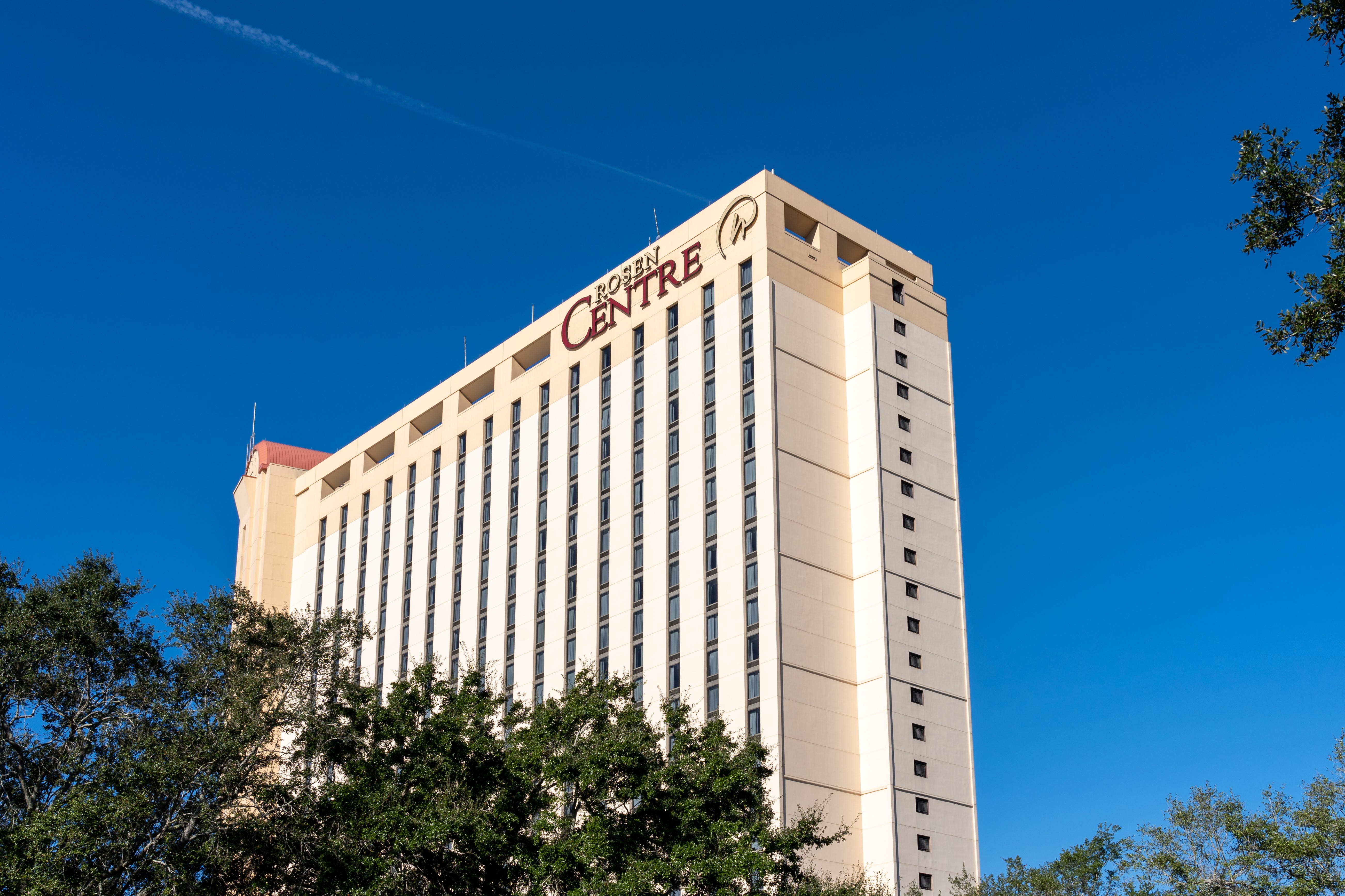 December In Review: Leadership & Culture Insights