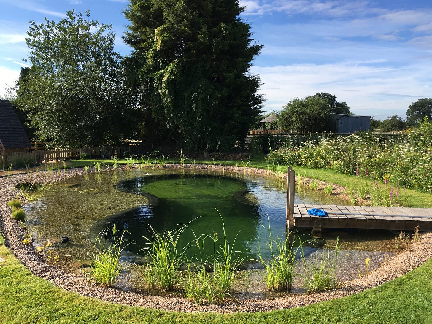 Pool Gallery - Organic Pools by David Pagan Butler