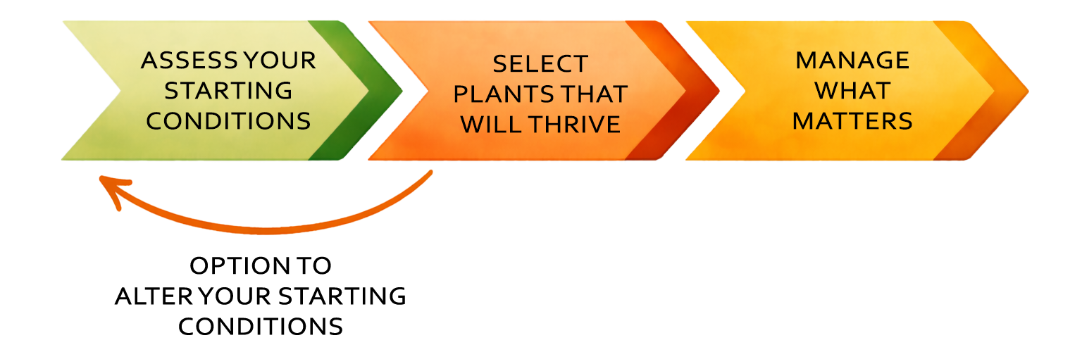 A Simple Framework for Growing Anything (Even When Conditions Aren't Ideal)