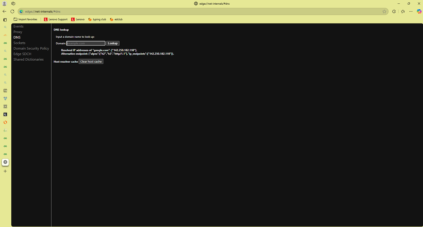 WHAT HAPPENS WHEN YOU TYPE GOOGLE.COM AND HIT ENTER IN YOUR BROWSER?