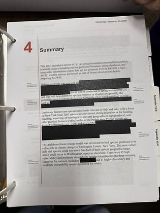 Alexandra Fasulo | Substack