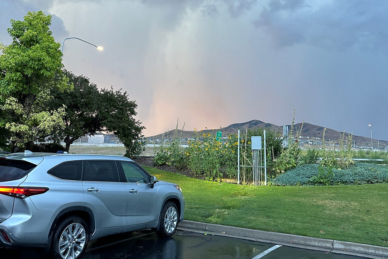 The Philosophies of a Woman | Rosie Card | Substack