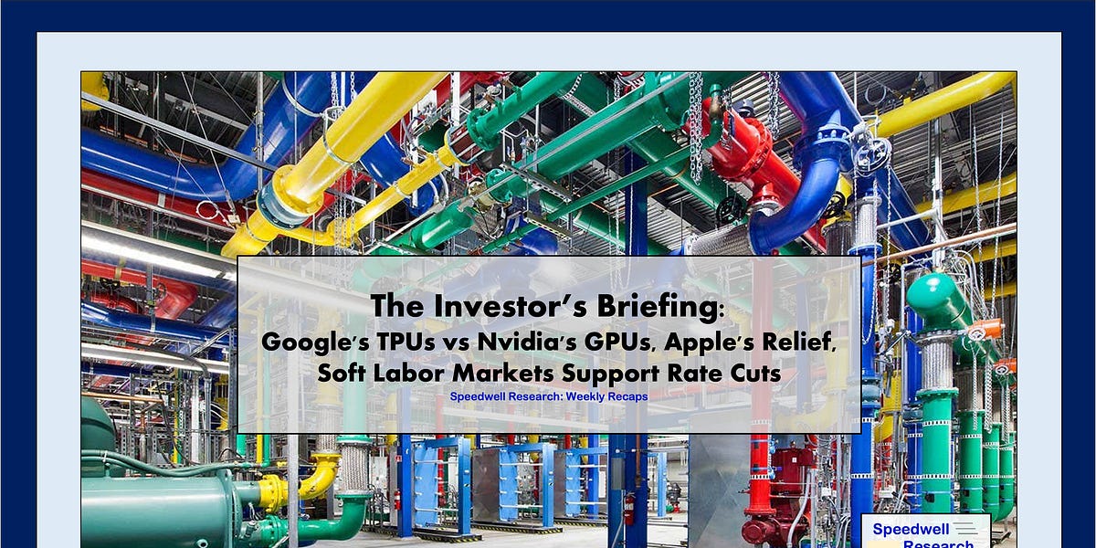 The Investor's Briefing #6 - by Speedwell Research