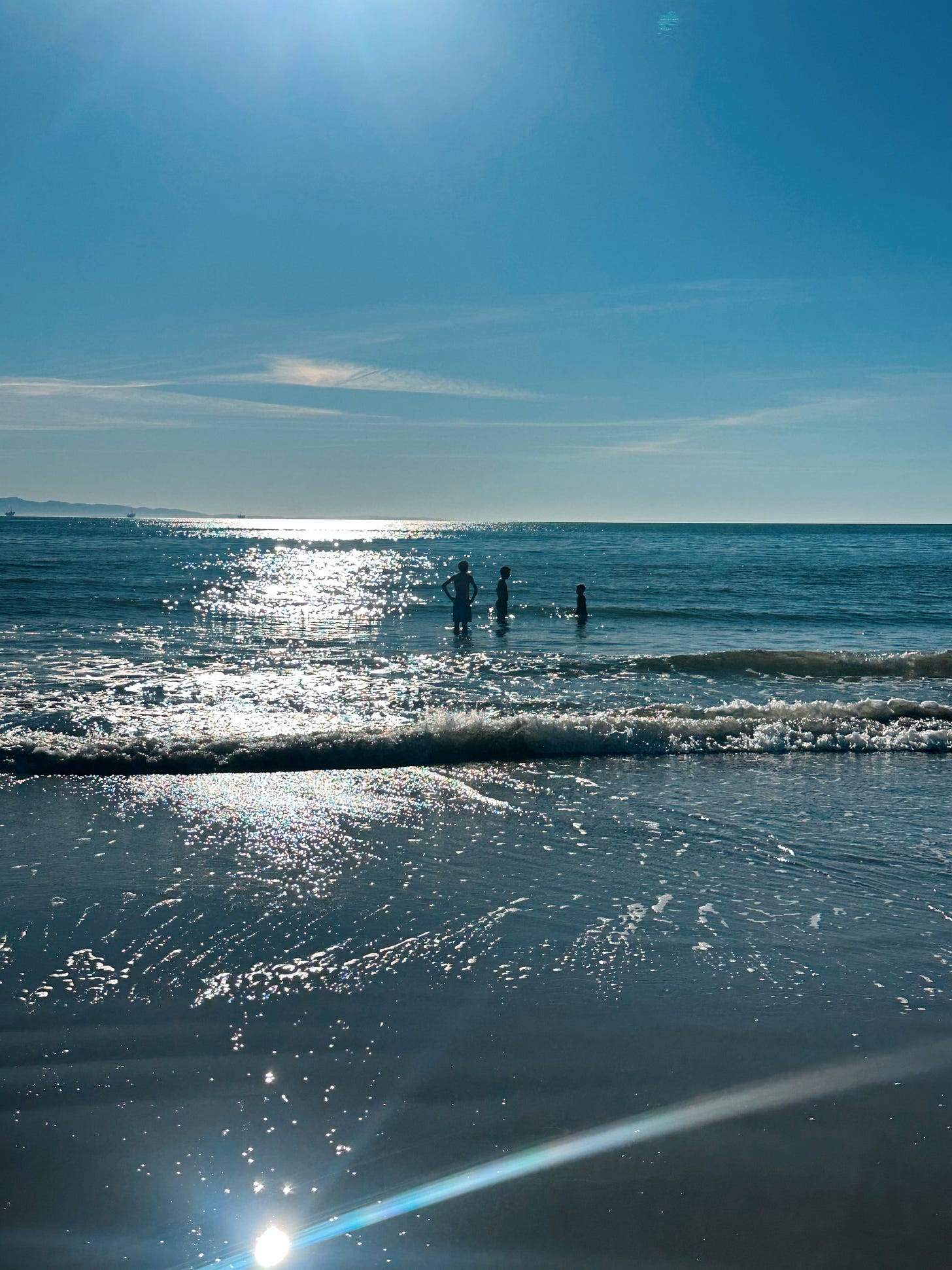 happy new year - by Allison Oswald - Rooted Moments