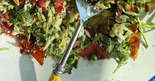 This Shit Rocks | Sara Tane | Substack