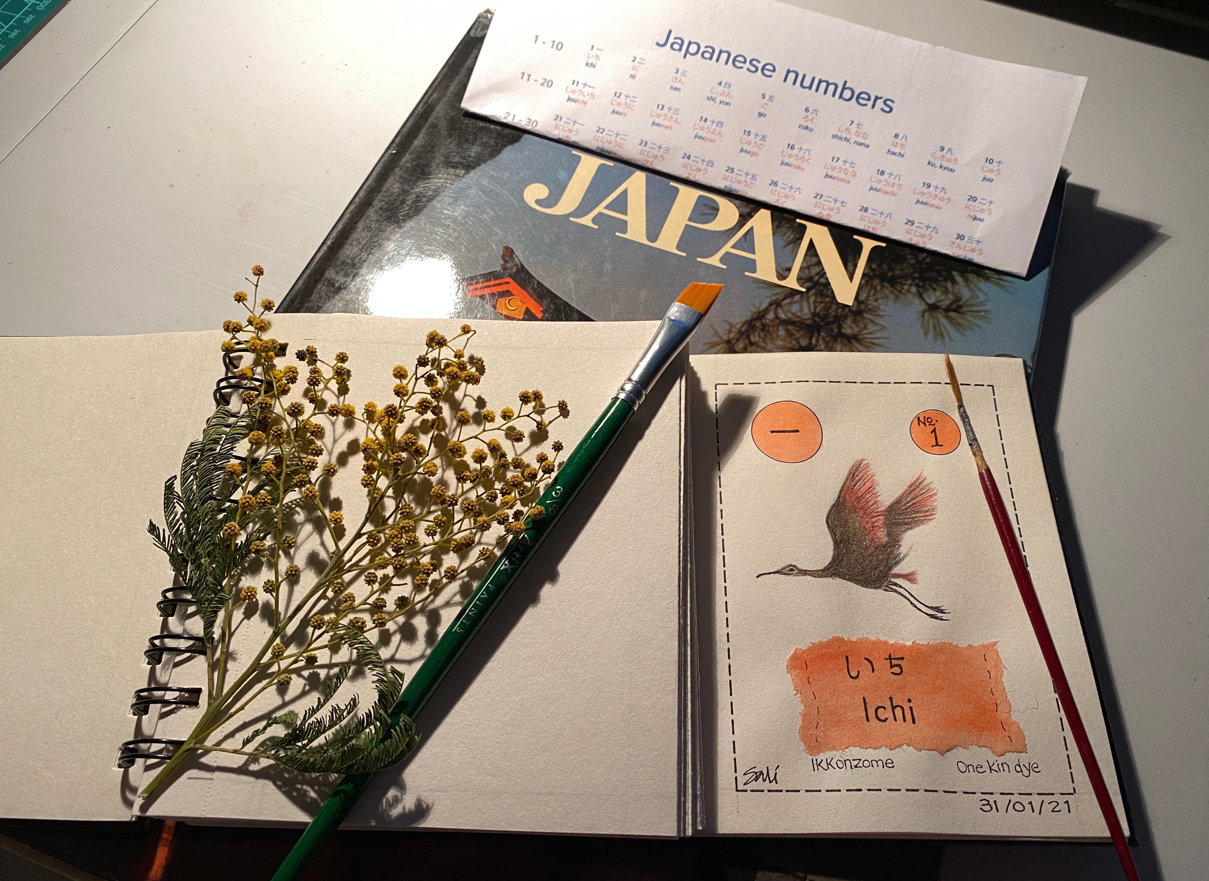Sally Jupe (@sallyjupe): "A look back to Japan and a Failed 100 DAY ...