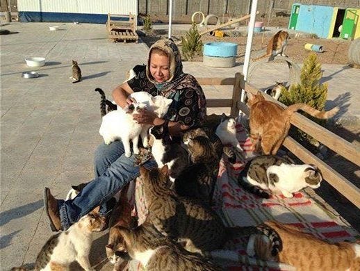 The Khomeinist Regime Institutionalized Culture of Animal Cruelty ...