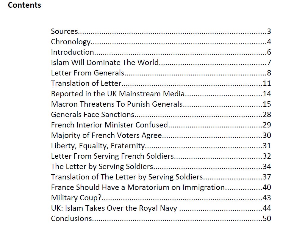 Civil war coming to France - Hellish 2050