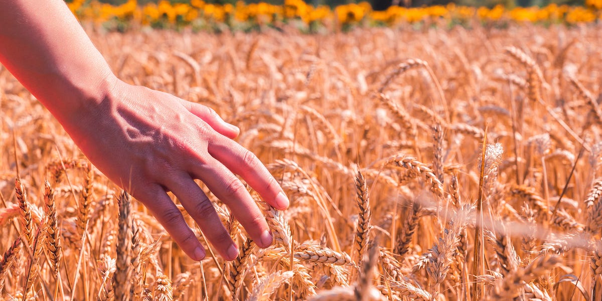 La tierra natal | Jorge Alemán - ALEMÁN Newsletter