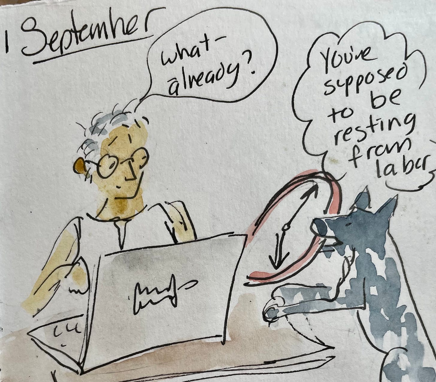 project polishing - by Sarah C Swett - The Gusset