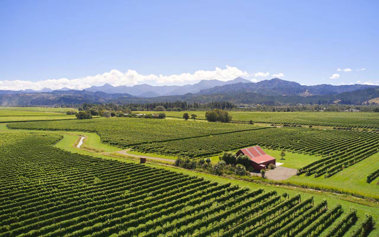 Wine in Wetherspoons - the good, the bad and the ugly