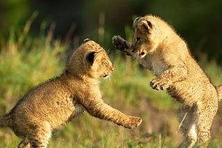 La chaise tue | Alexandre Dana | Substack