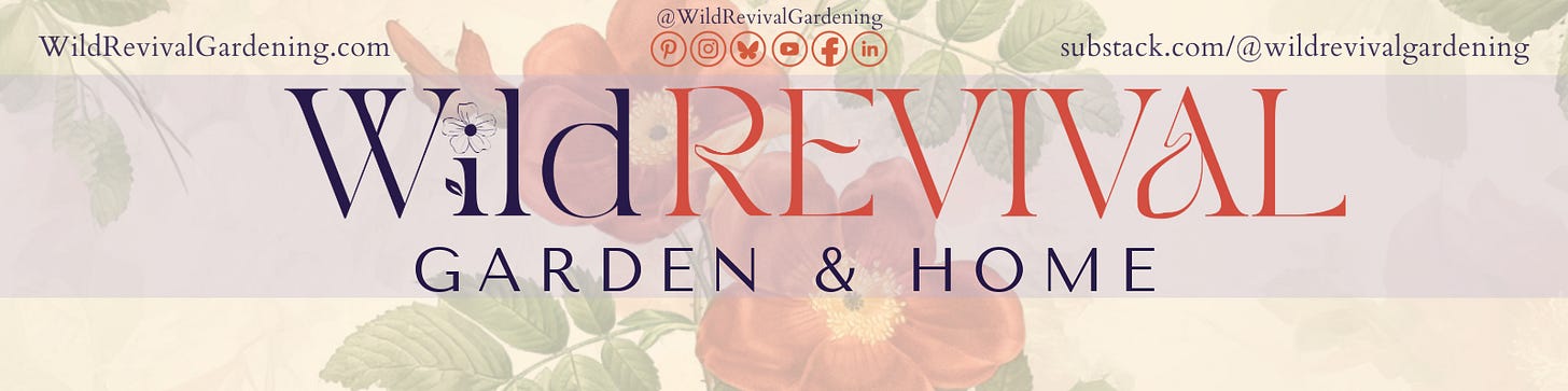 Creating a Shade House: Why We Built It, How It Works, and Why We Love It