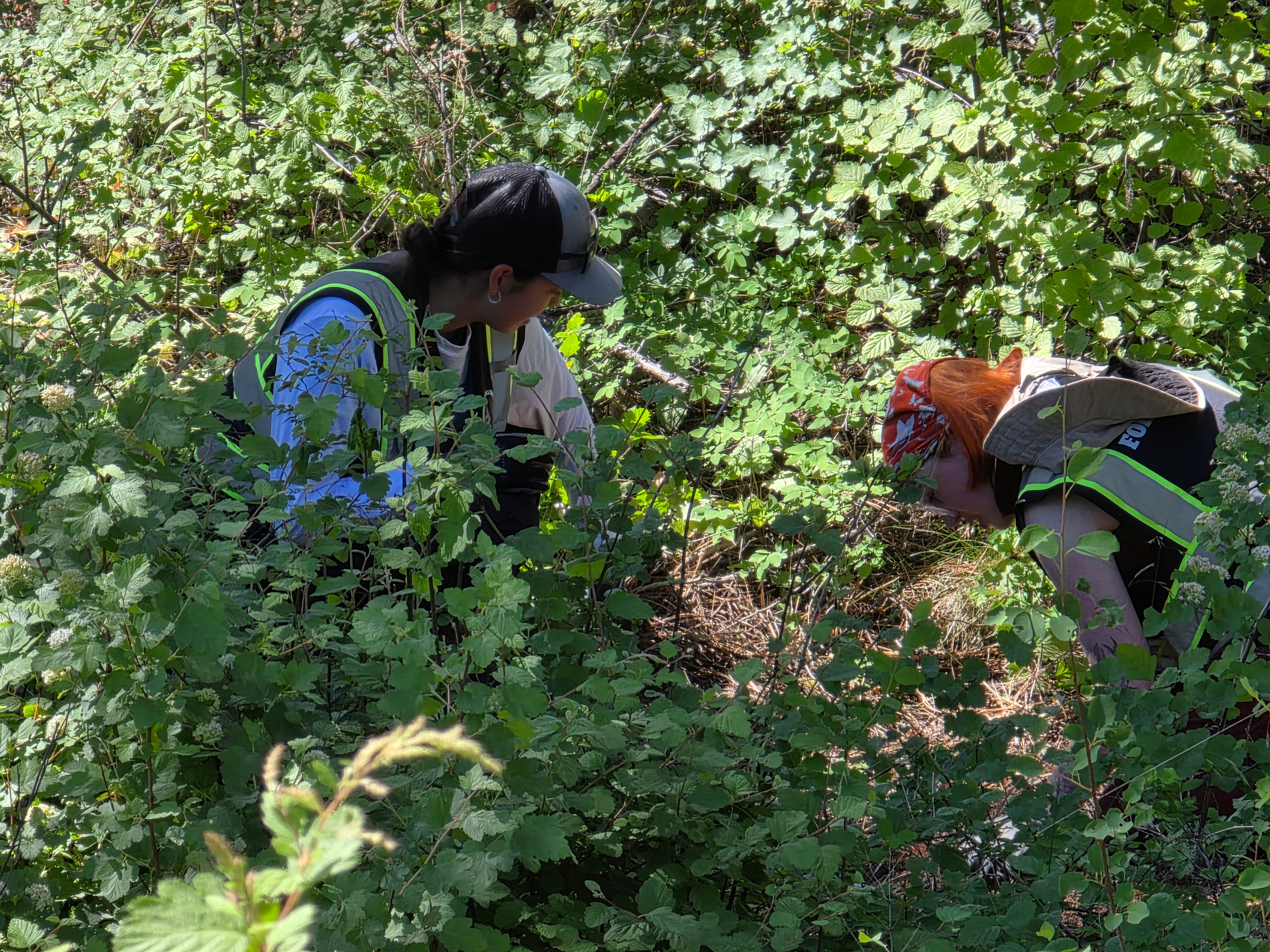 There Are Heros in True Crime - True Crime Times Substack