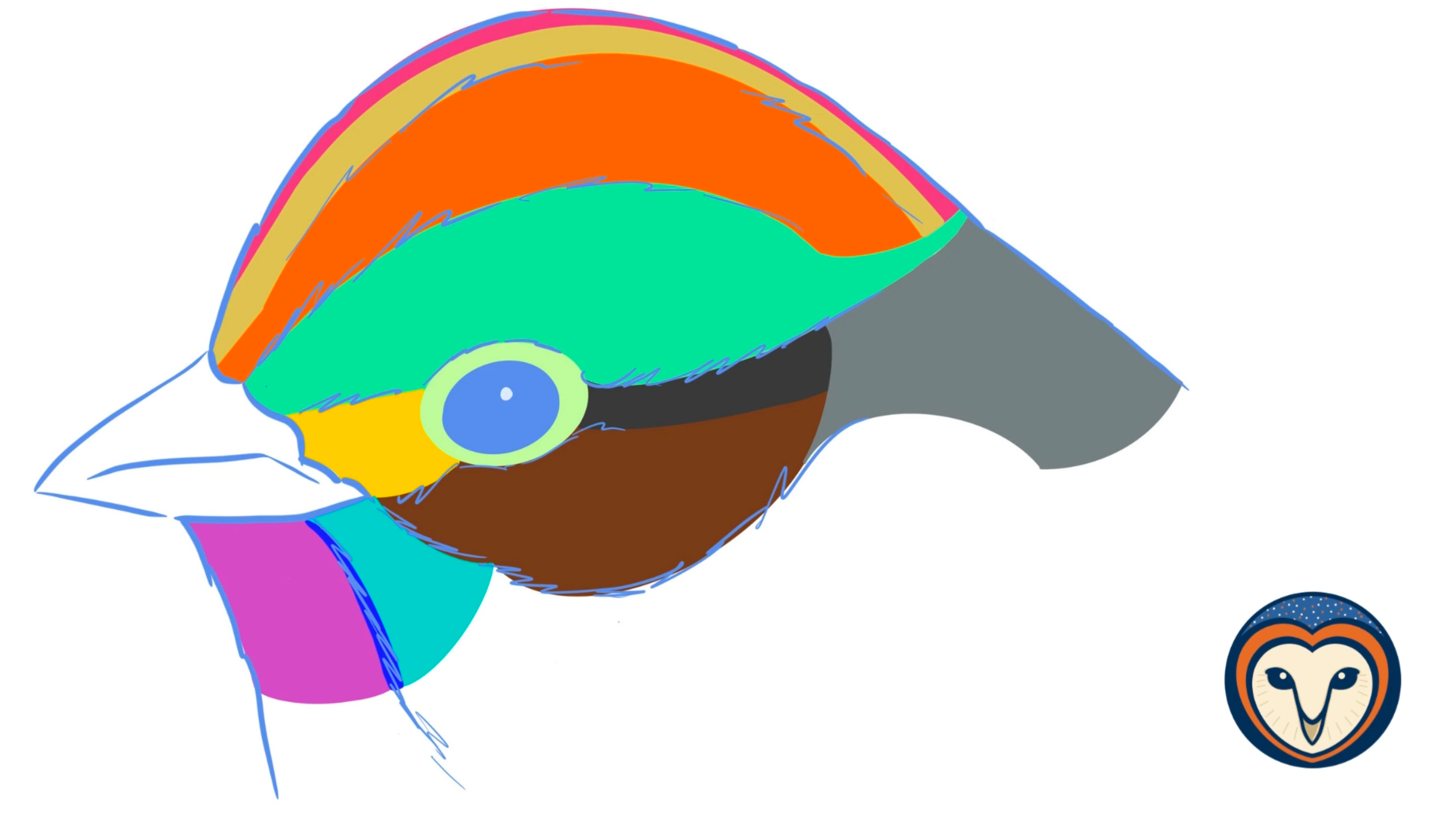 Bird Topography: The Head - Birding University