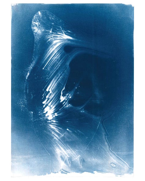 Exploring Cyanotypes: A Beginner’s Guide to This Unique Cameraless ...