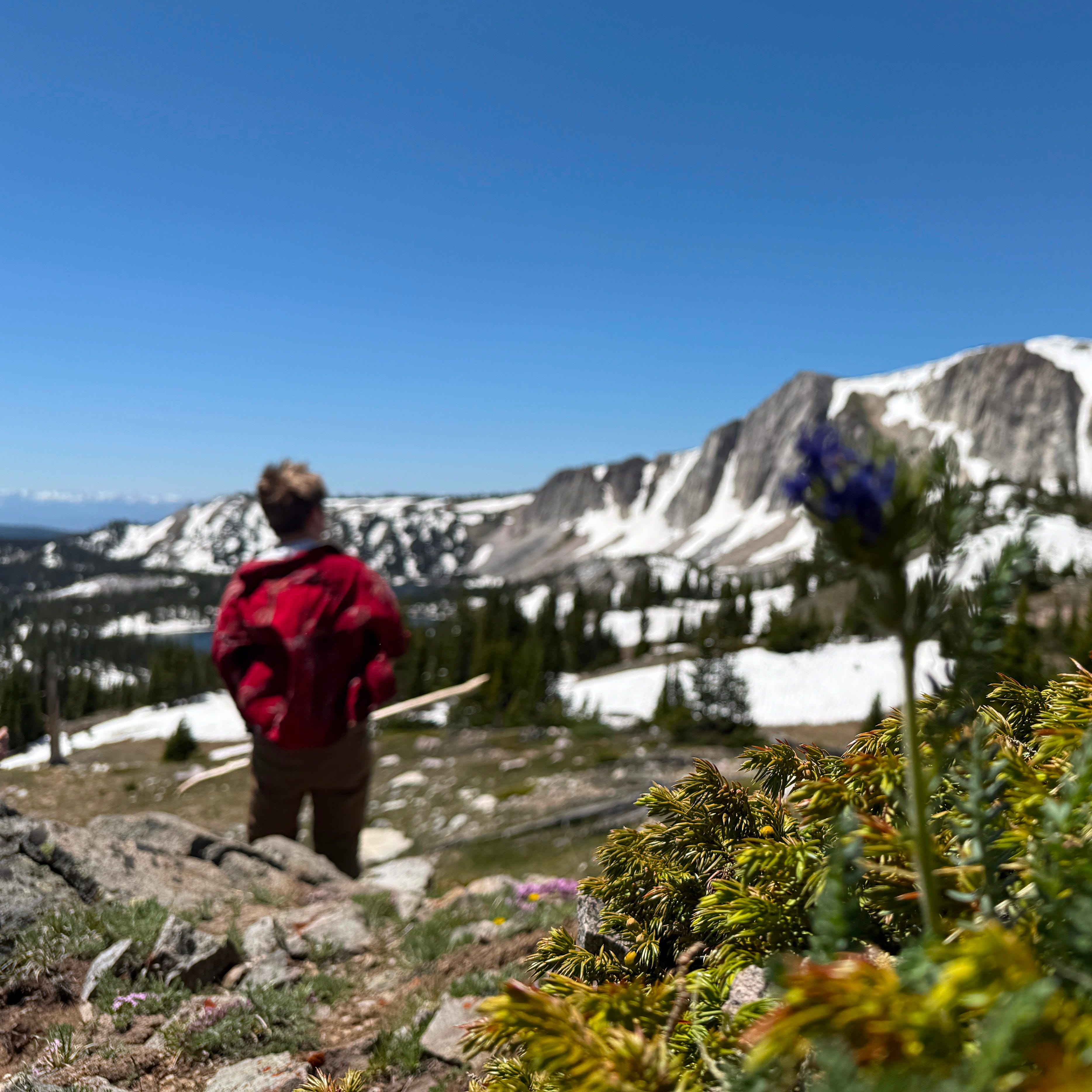 Emerson Delaney | Substack