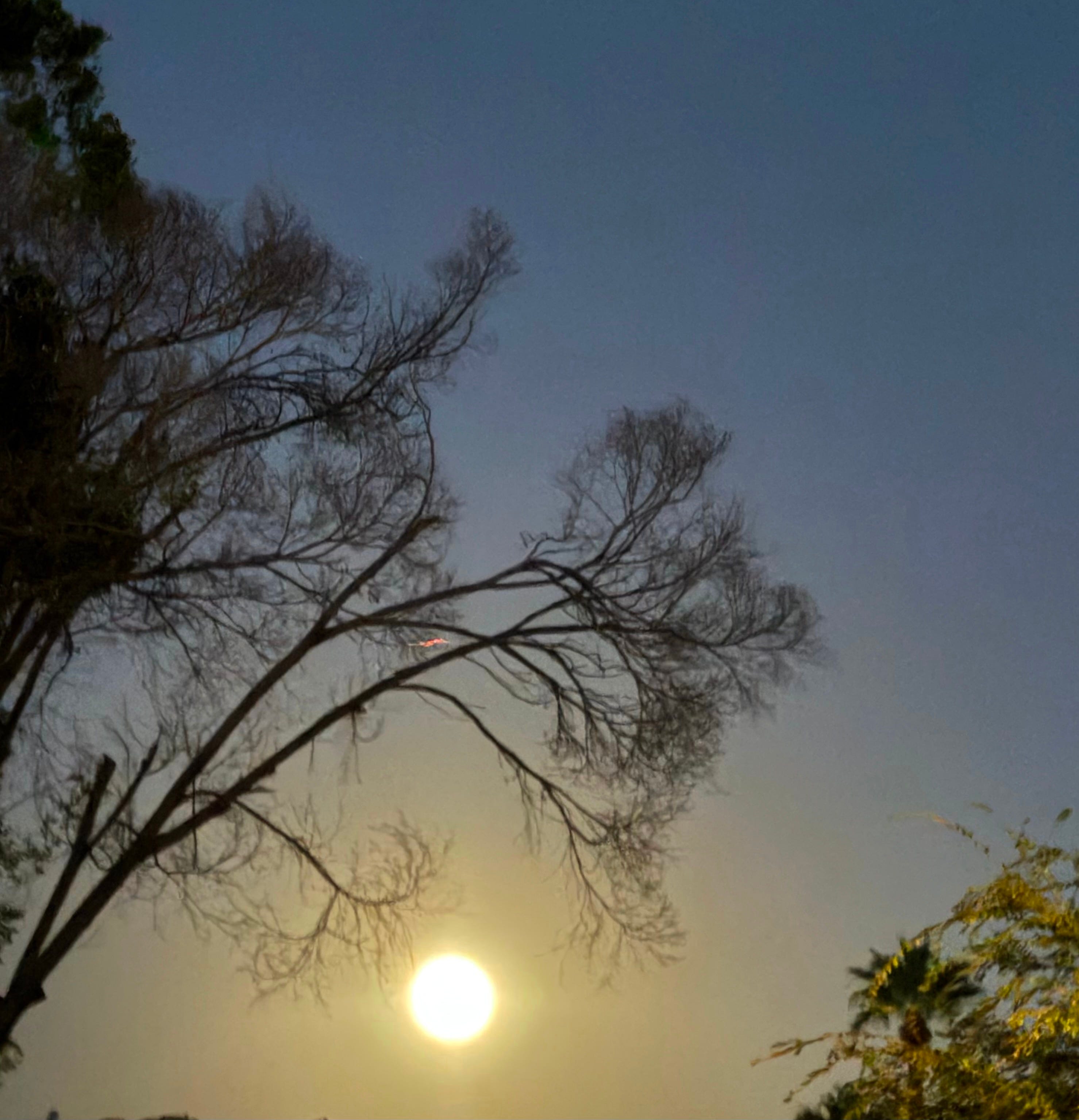 Harvest Moon Reflection - Rhymes For Humanity by Jen Reich