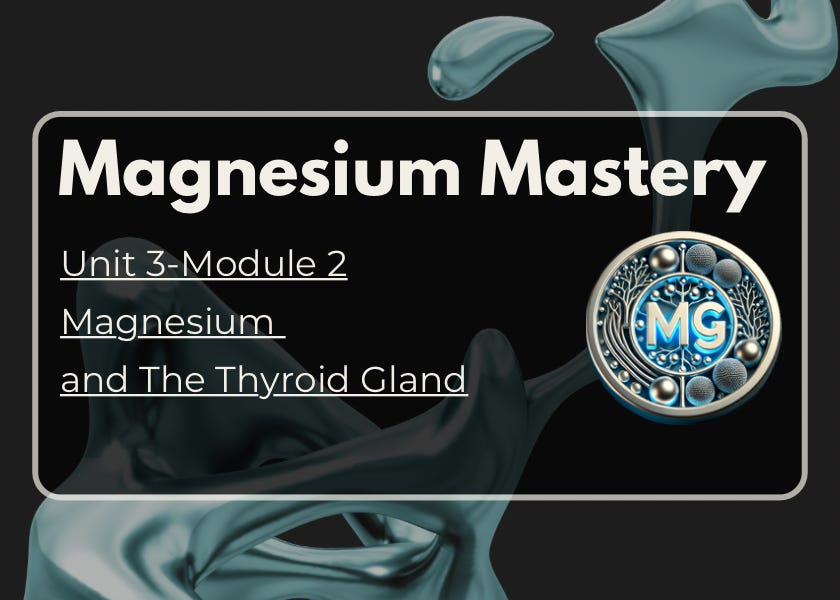 Unit 3 Module 2 - by Curious Outlier