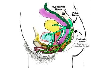 Meet Your A-Spot - Sheri Winston's Intimate Arts Center 🌺