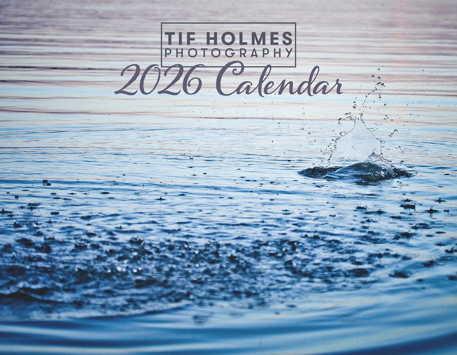 Last Call for 2026 Wall Calendars - by Tif Holmes