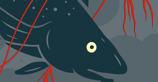 With Bite | Extra Teeth Magazine | Substack