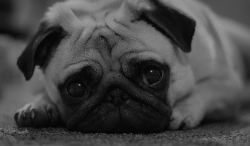 Game 34 wrap: (no spoiler title) - BVM Sports