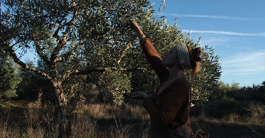 Jaymie’s Substack | eagle rock and the wolf | Substack