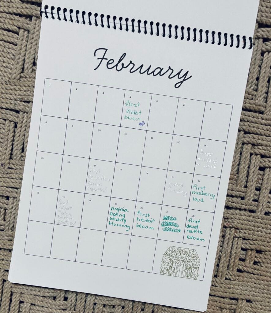 Calendar of Firsts: Start A New Nature Study Tradition in 2026