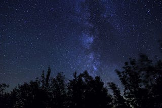 The Etymology Nerd | Adam Aleksic | Substack