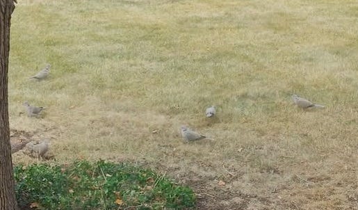 Letter to God - by Sandra S. Oitzinger - Letters to Men