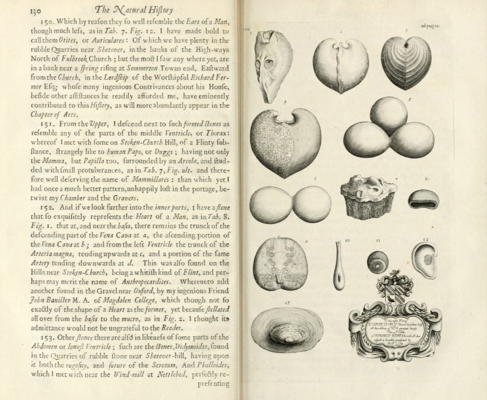 The folklore of fossils - by Paul Sullivan