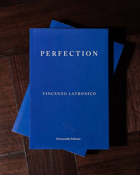 Book Drop | Perfection - Culture Drop by Alexandra Sara