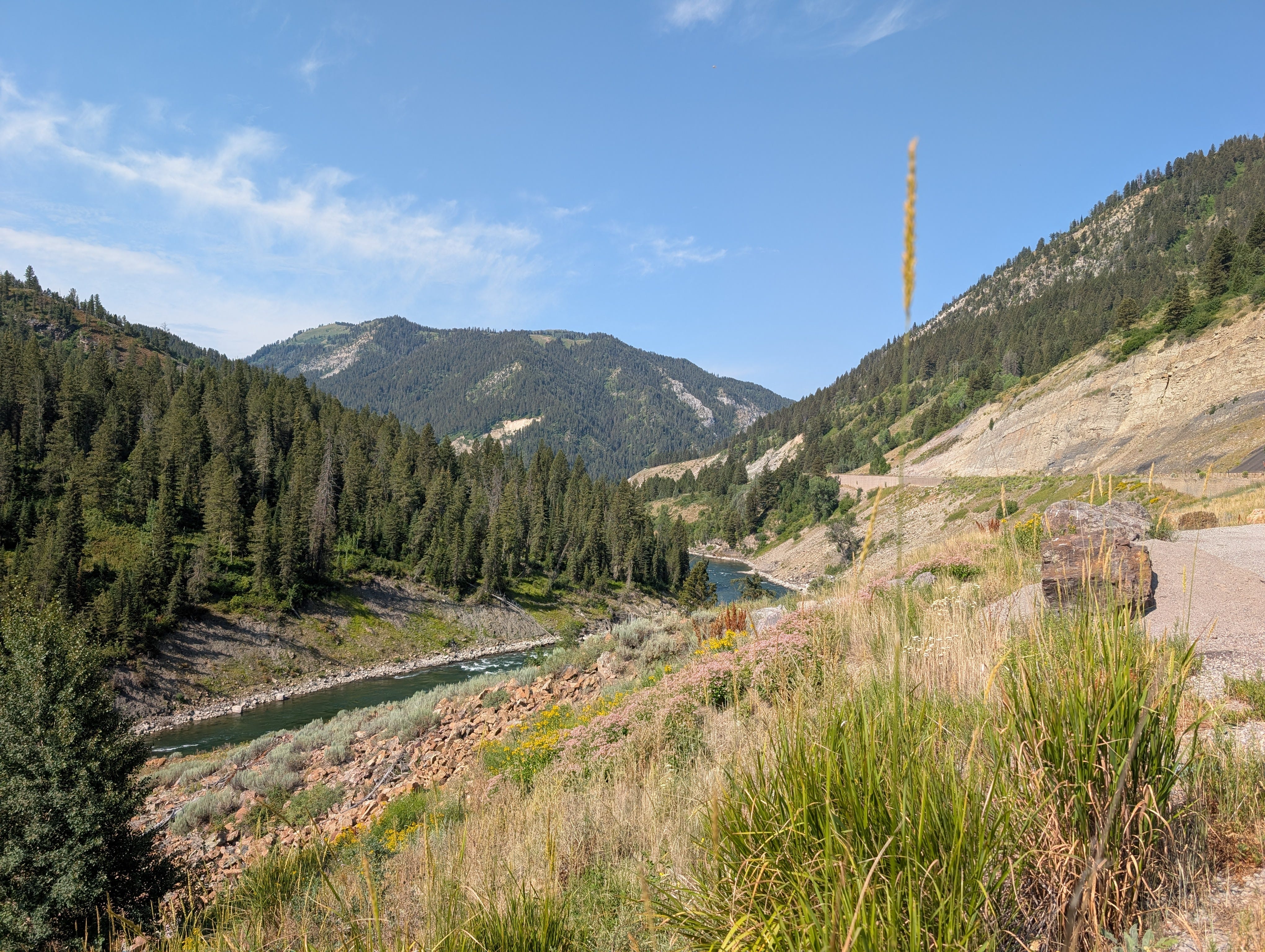 The Nightmare on Two Wheels - by Jake Dillow