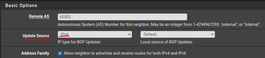 VyOS Network and Routing Configuration - by Karl William