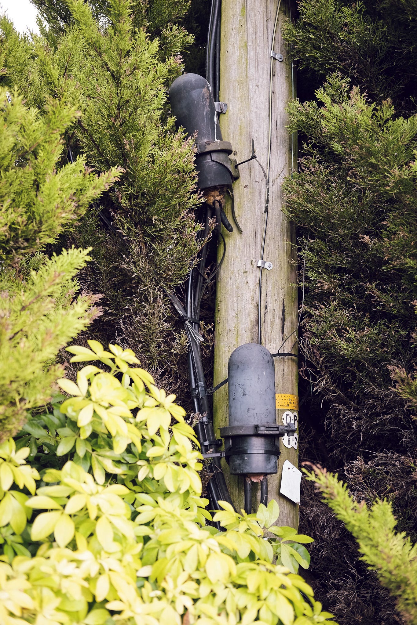 Cadence - by Martin Rolph - Midpoint Mission Log