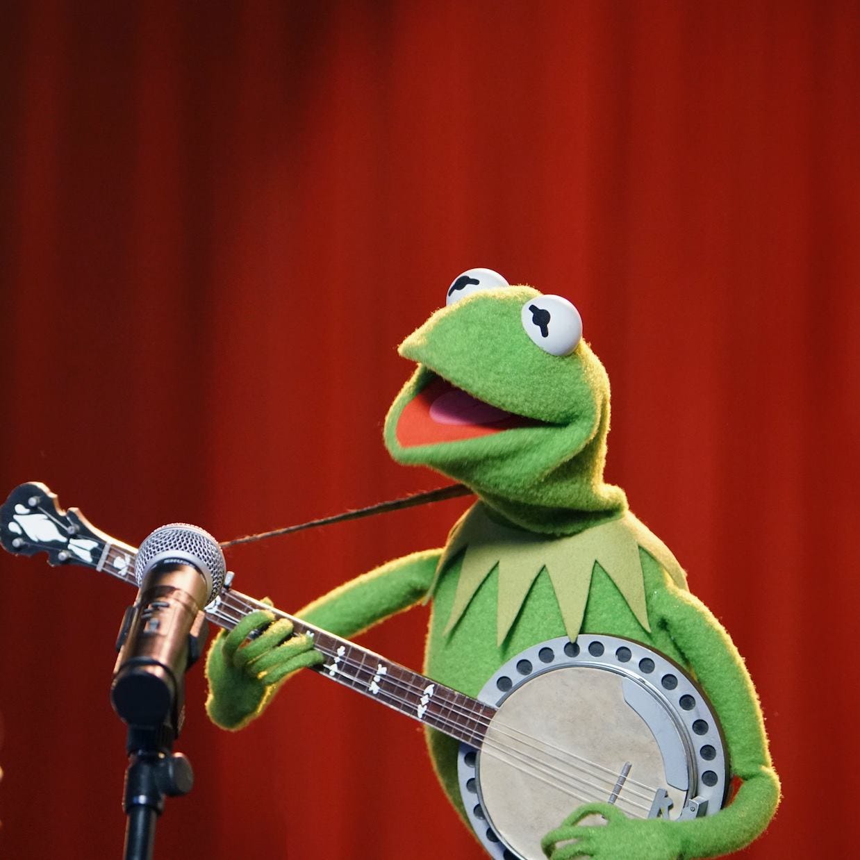 I must meet Kermit before I die - by Eric Webb