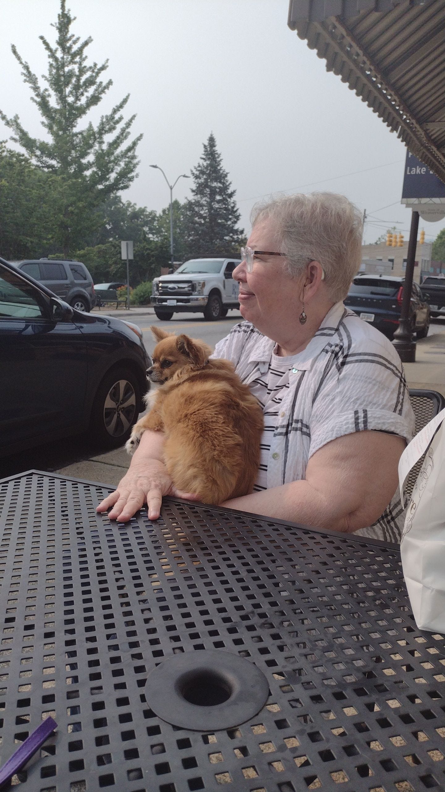 Update on the New Book - by Susan Gabriel, Author