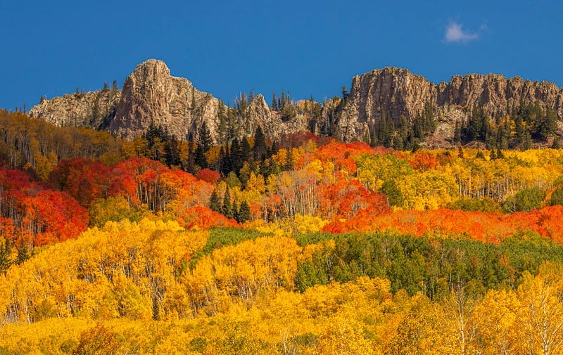 Best Places to Photograph Fall Colors in Colorado