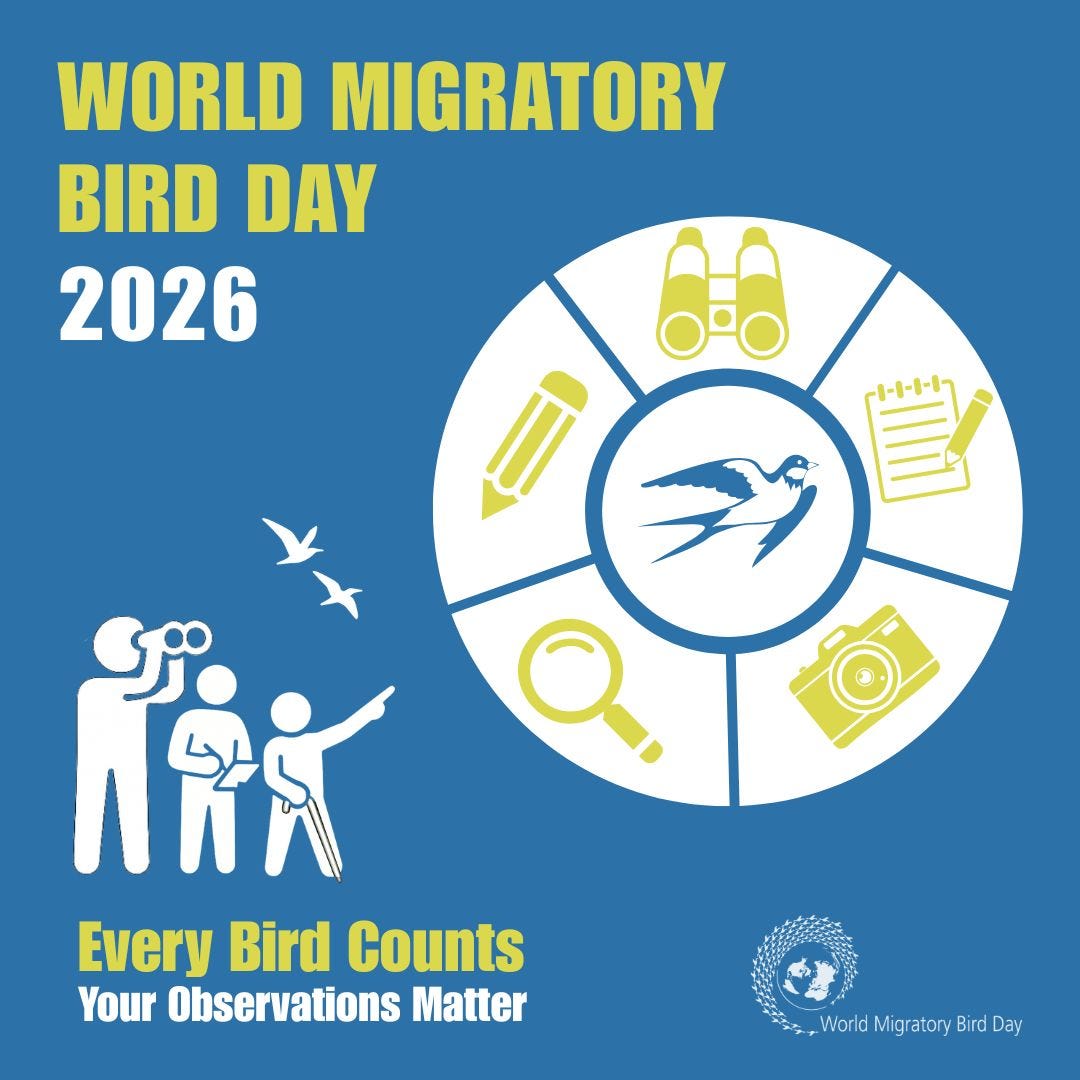 World Migratory Bird Day 2026 Theme Announcement!